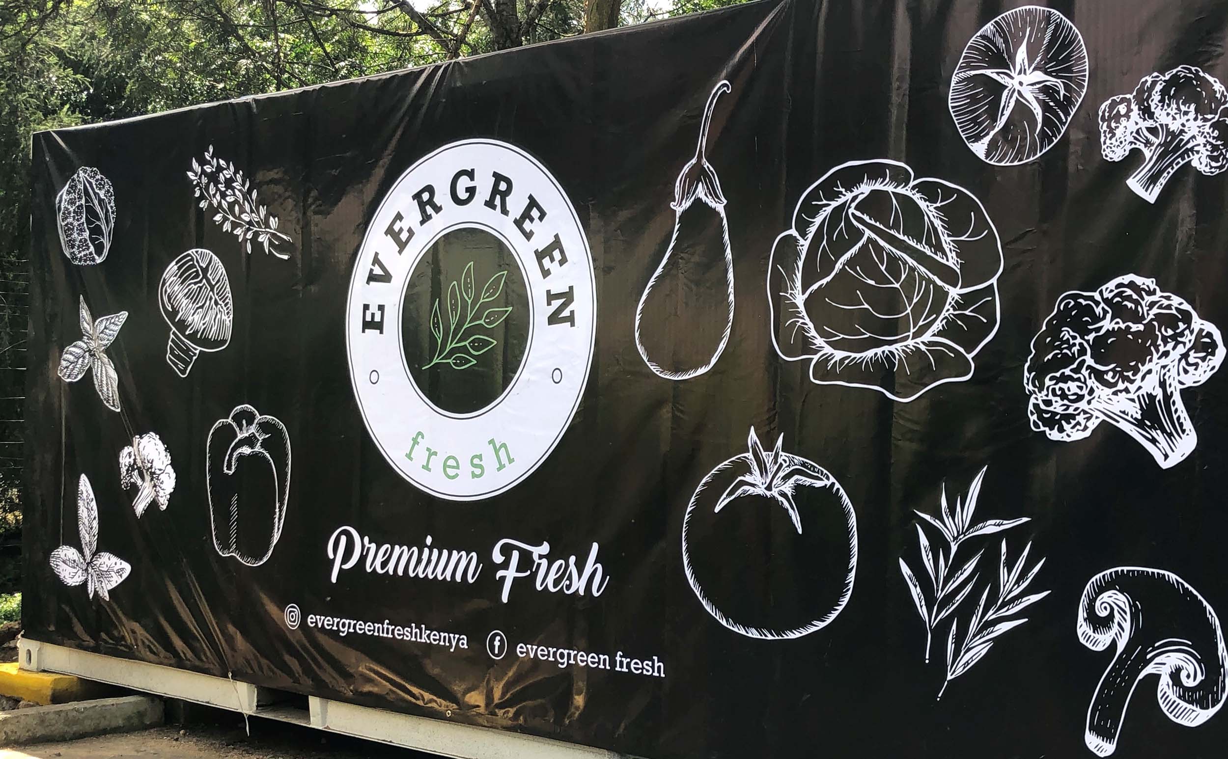 Evergreen Fresh - Maris Africa